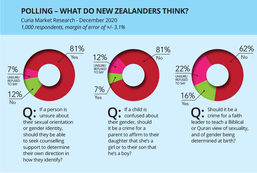 Effects of ‘Conversion Therapy’ Ban Rejected by Kiwis: Poll - My ...